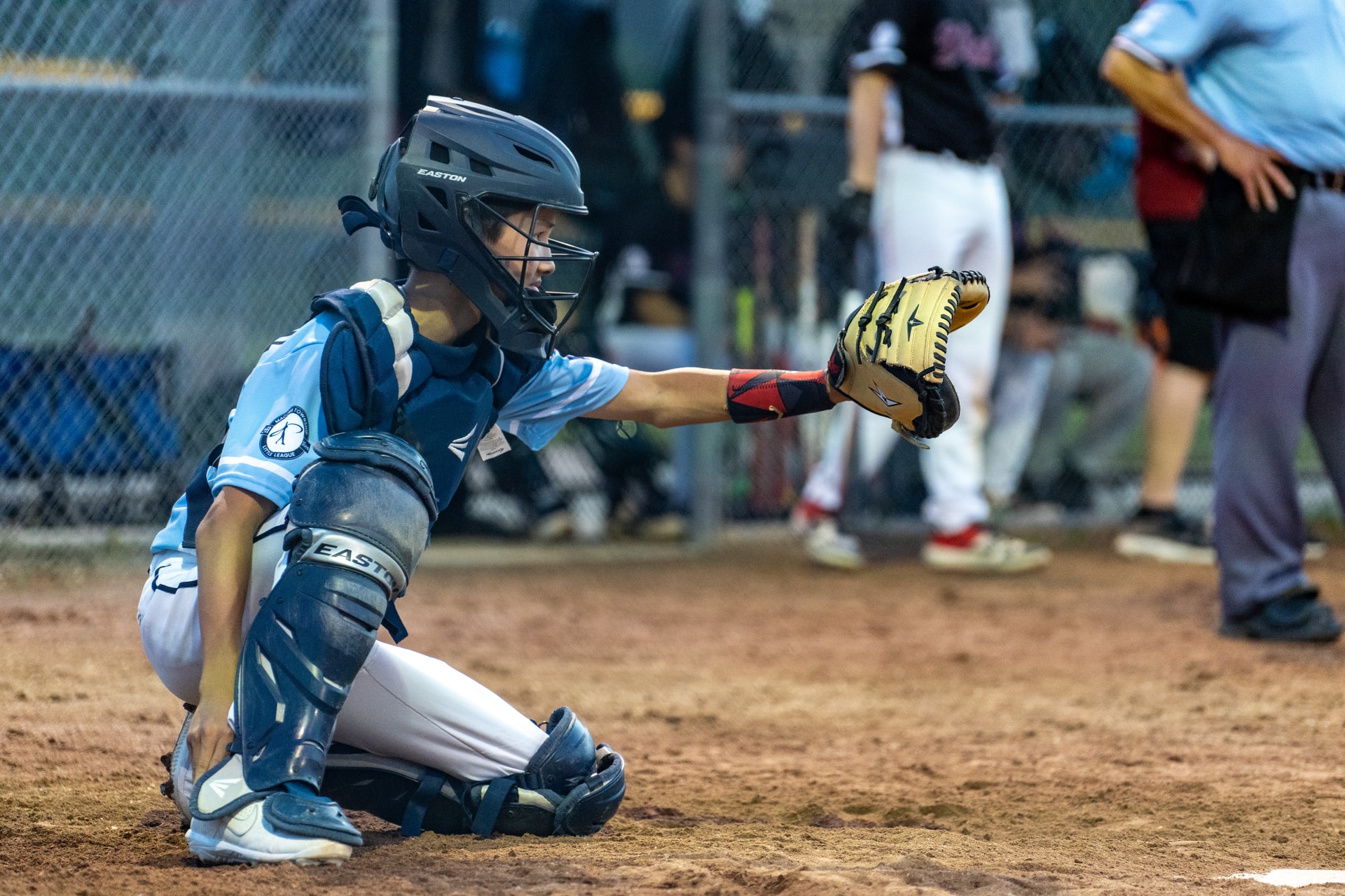 Baseball Protective Gear - Everything You Need to Know, Tips, & More